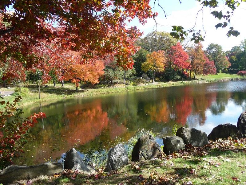 Fulton Park | AnyCity