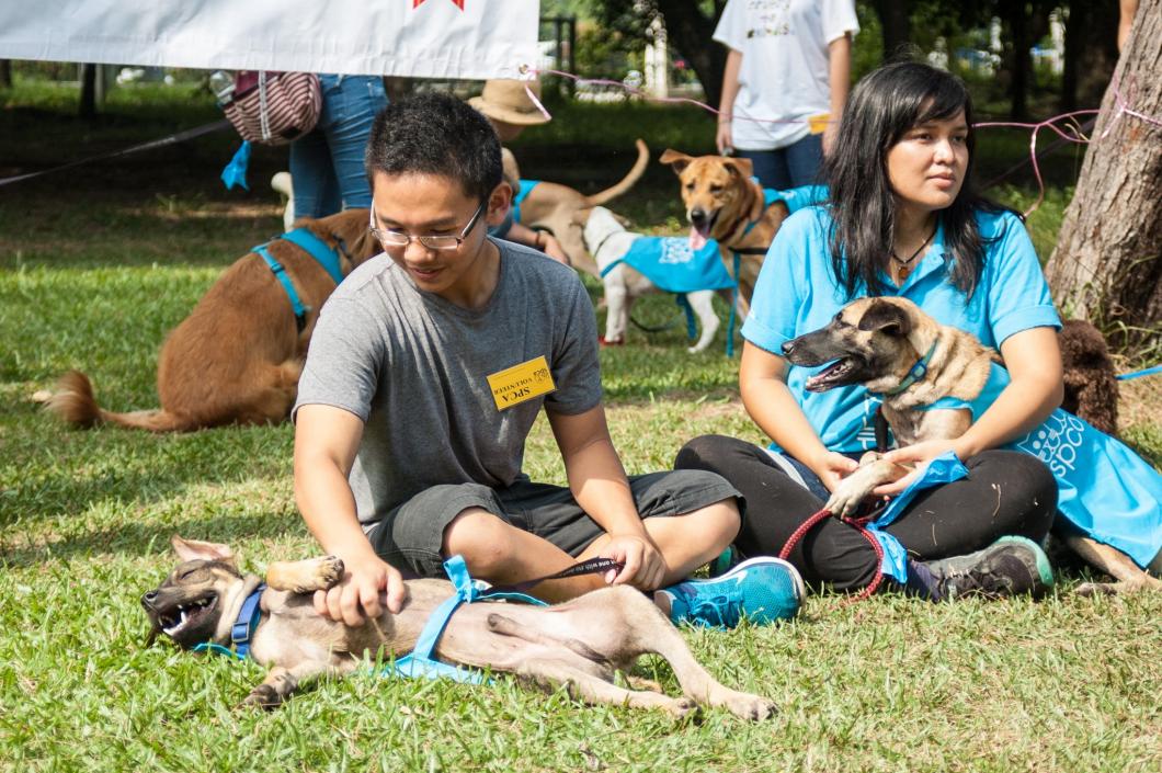 Adoption Drive | AnyCity