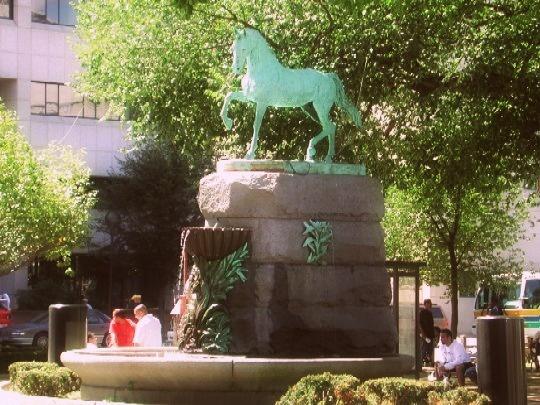 Carrie Welton Fountain | AnyCity